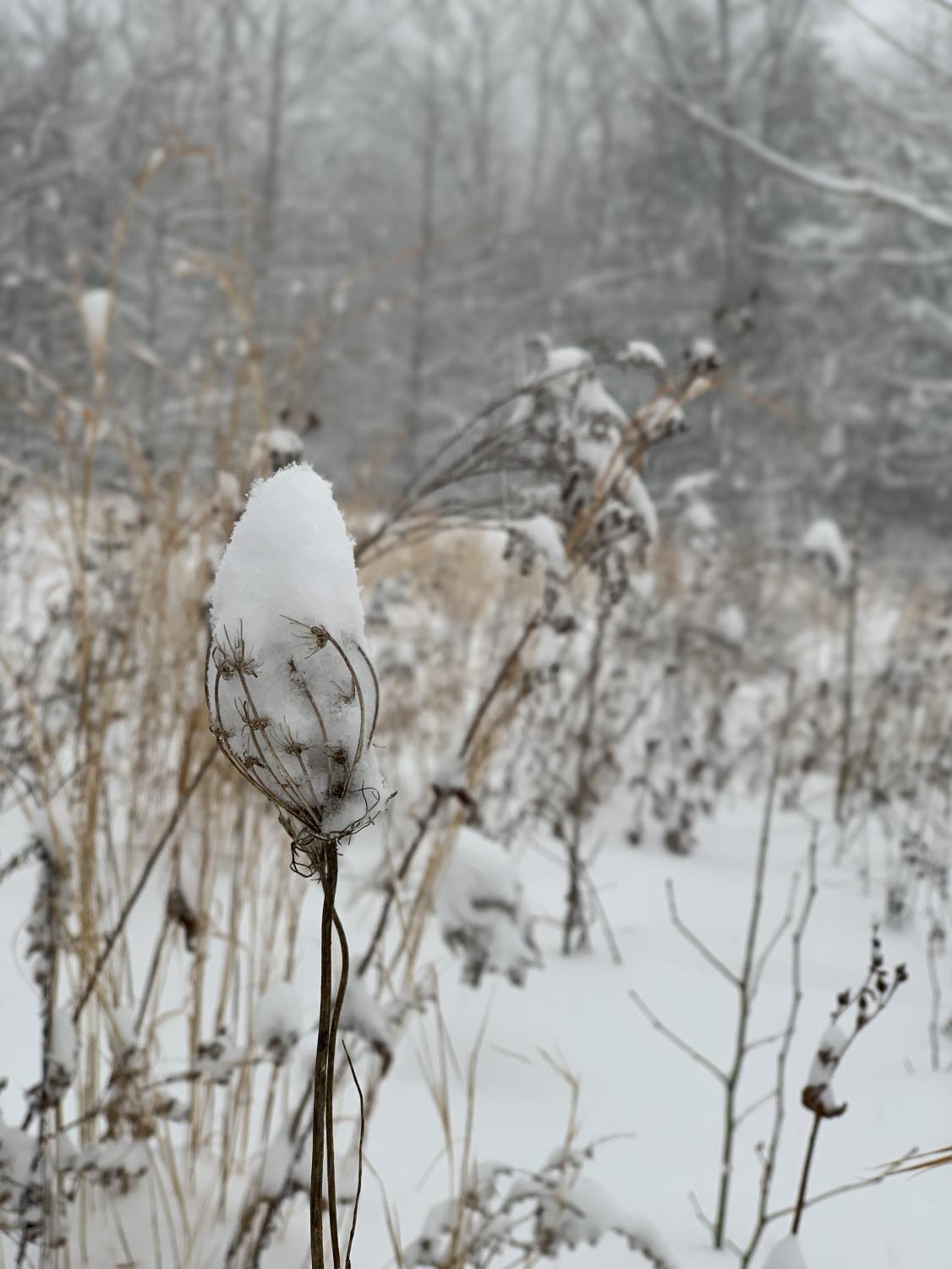 Pocono Heritage Land Trust is committed to preserving natural beauty in ...